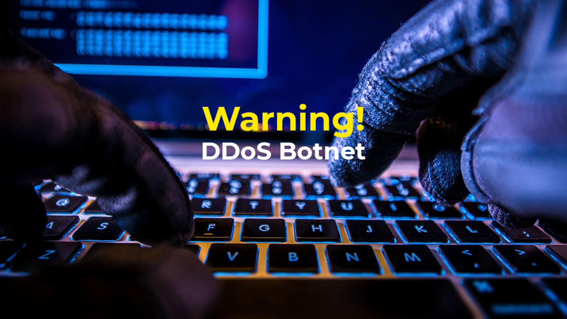 Warning businesses about Botnet DDoS attacks | Vnetwork JSC