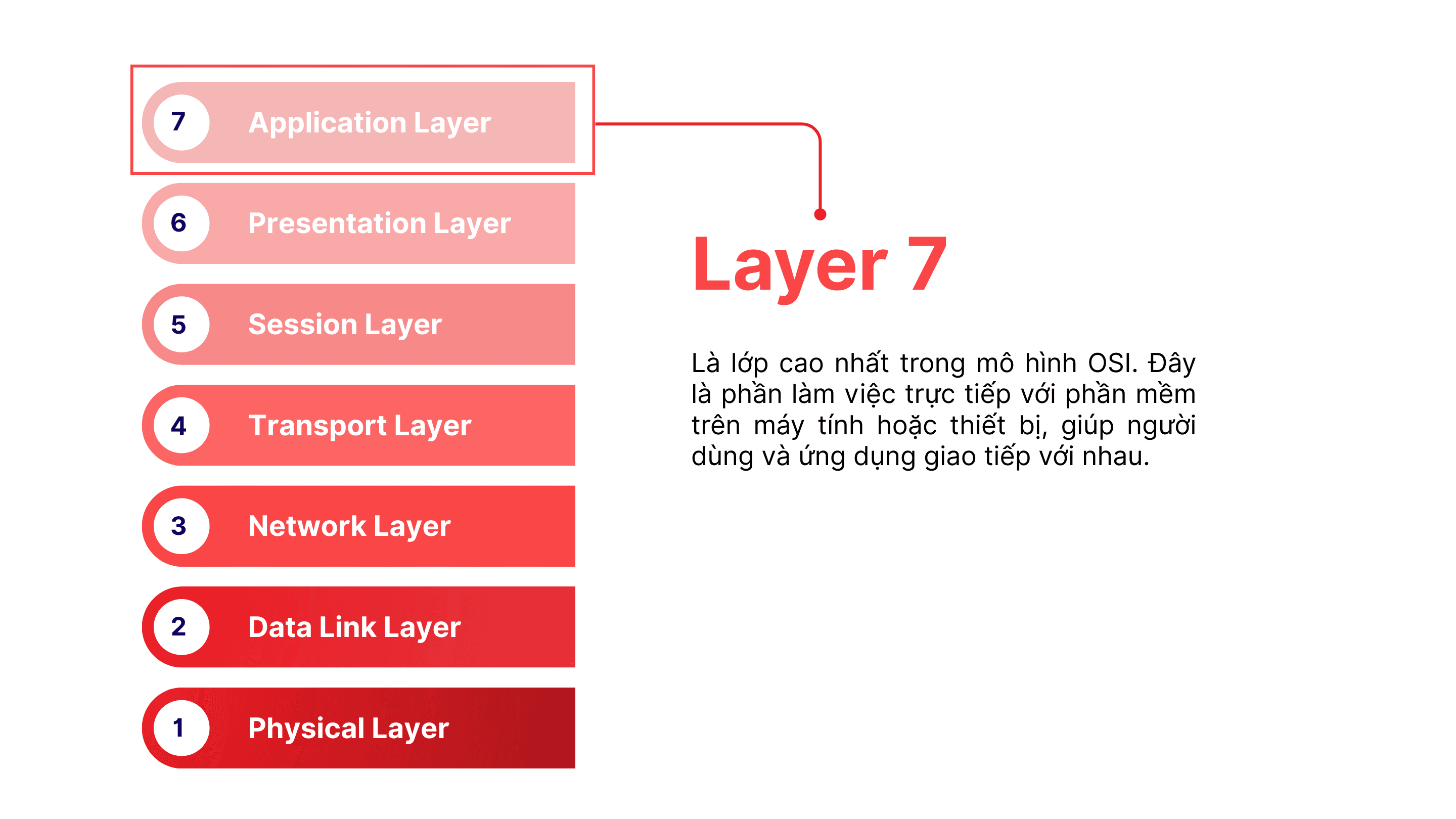 Layer 7 là gì? Bí quyết phòng chống tấn công DDoS Layer 7